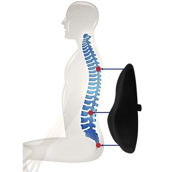 Ergonomic Back Relief Cushion – Coushy